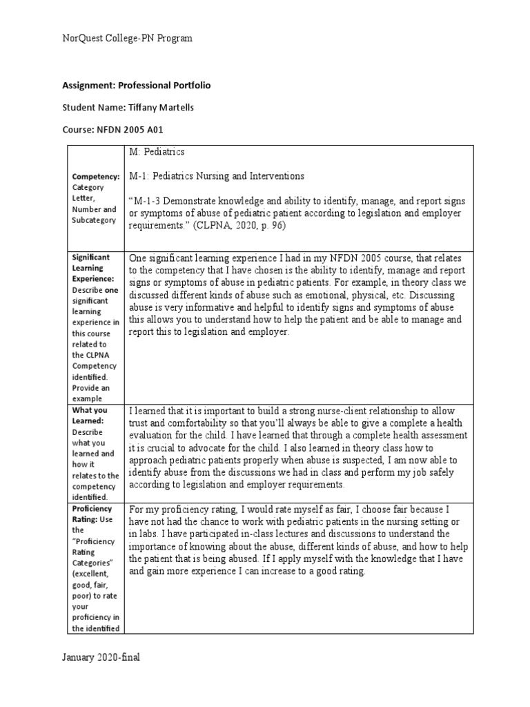 NFDN 2005 Professional Portfolio | PDF | Nursing | Patient