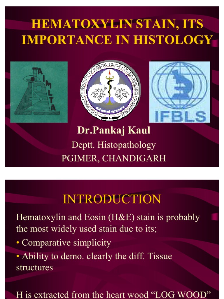 Types and Uses of Hematoxylin Stains | PDF | Staining | Chemical Compounds