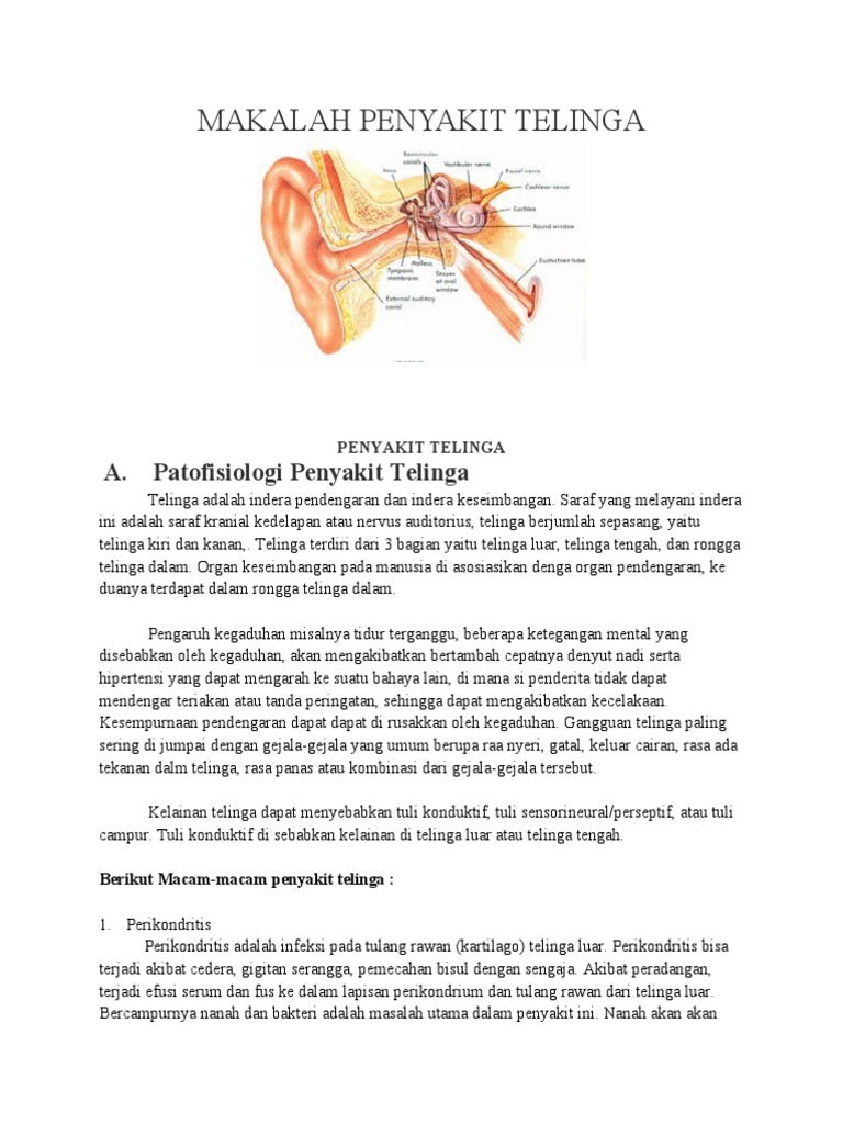 Makalah Penyakit Telinga | PDF