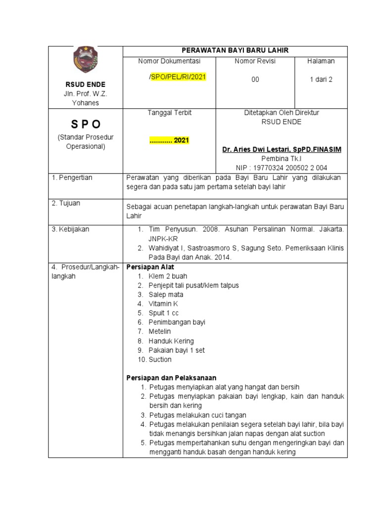 Spo Perawatan Bayi Baru Lahir | PDF