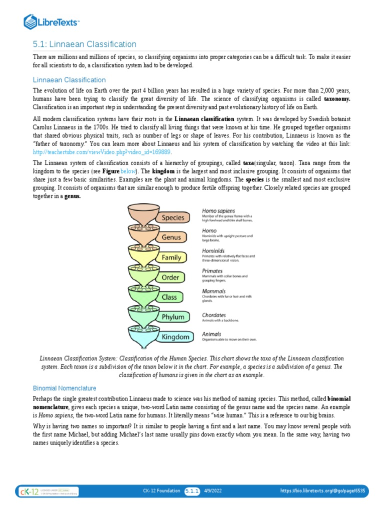5.01 Linnaean Classification | Download Free PDF | Taxonomy (Biology ...