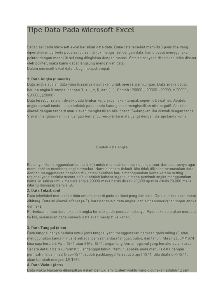 Tipe Data Pada Microsoft Excel | PDF | Komputer