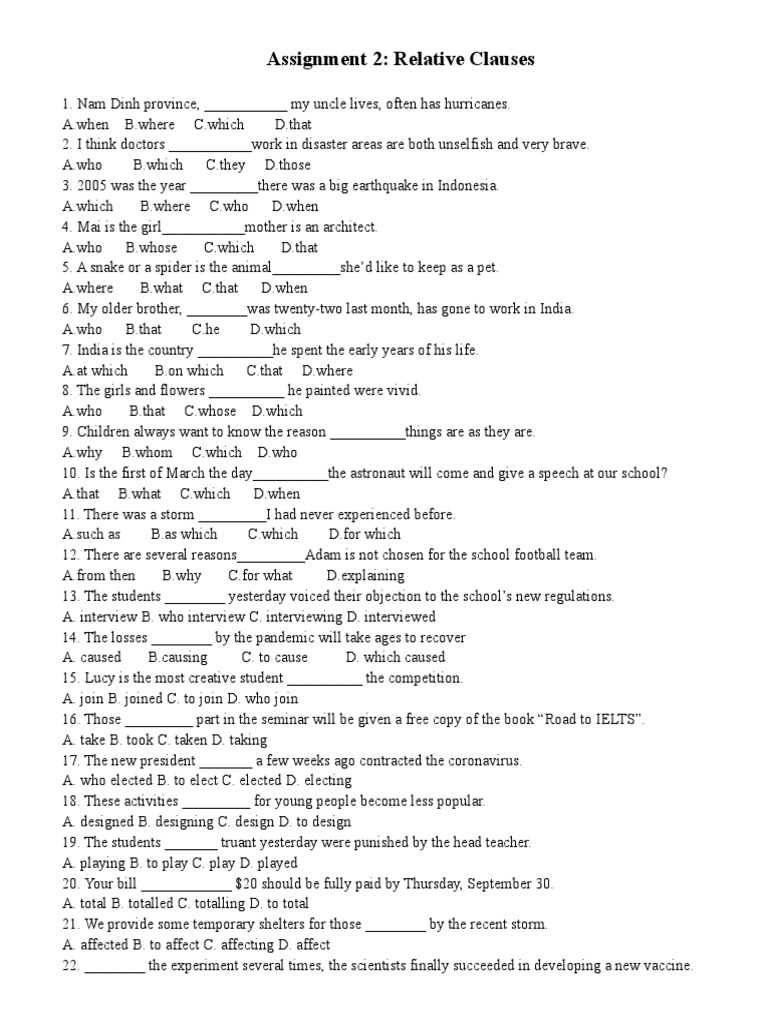 Assignment 2 - Relative Clauses | PDF