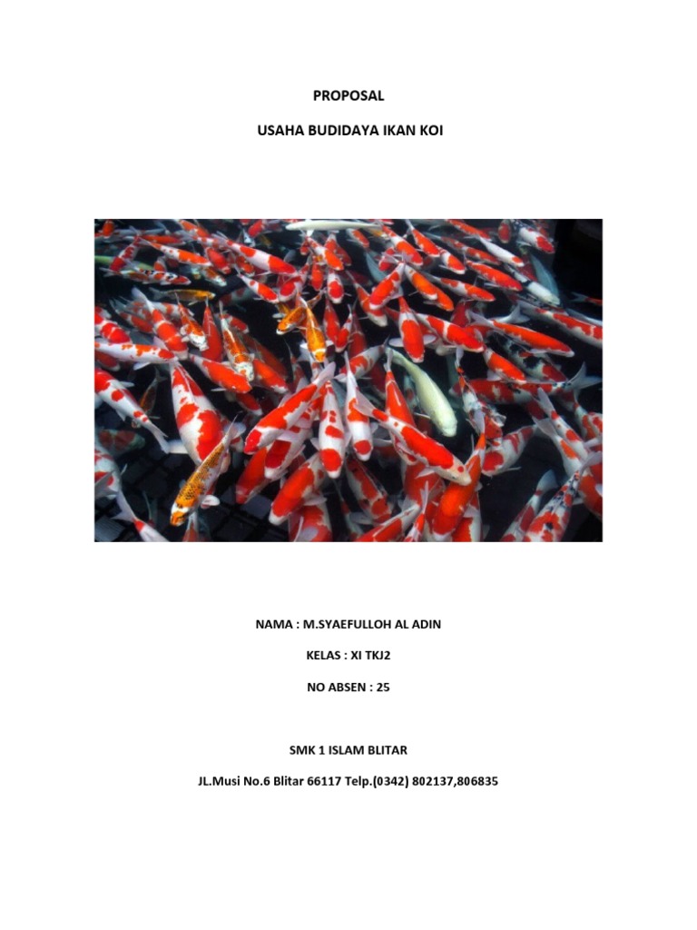 Proposal Budidaya Ikan Koi | PDF