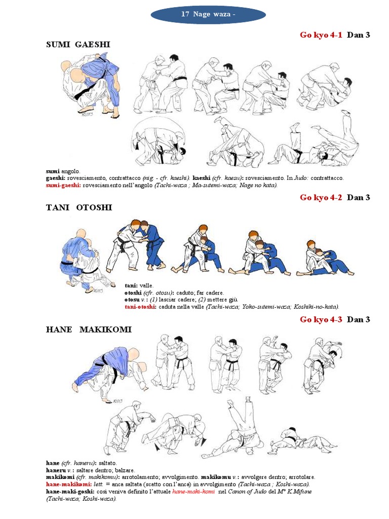 P 00011 Nage Waza 3 4 | PDF