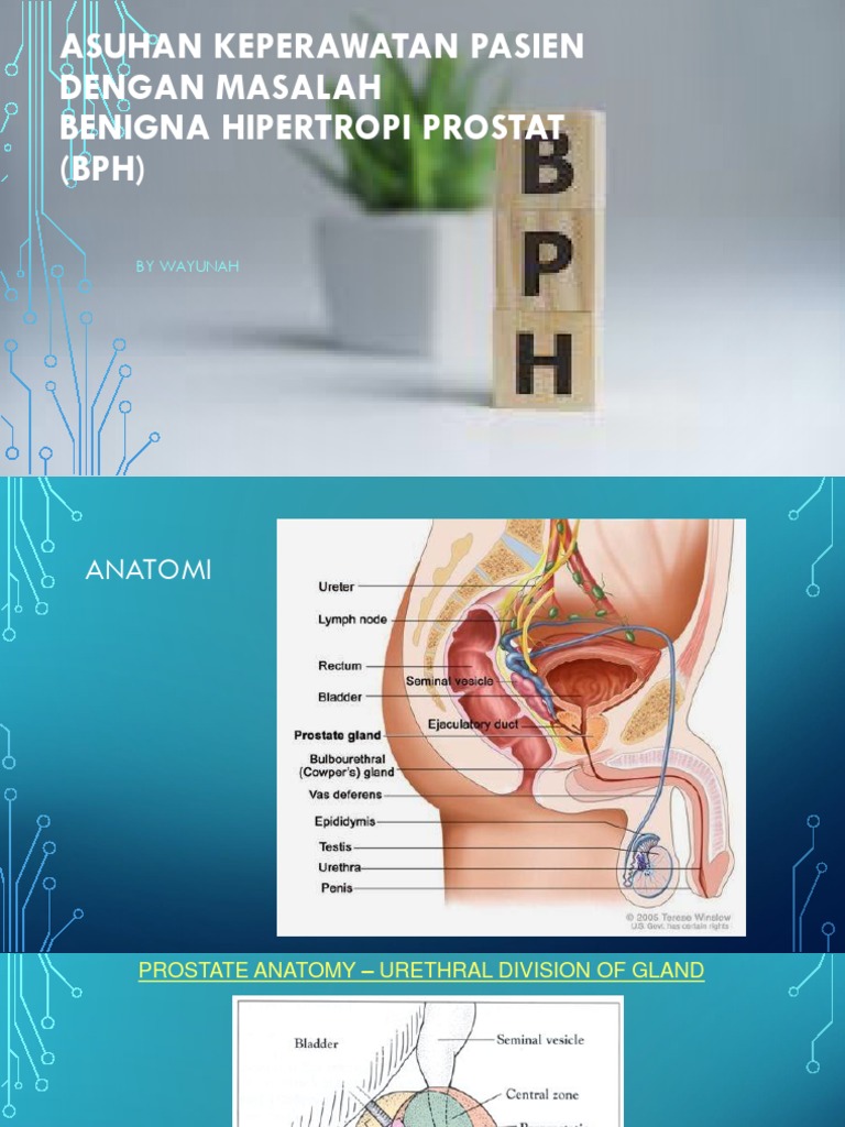 Asuhan Keperawatan BPH - Yunah | PDF | Prostate | Semen