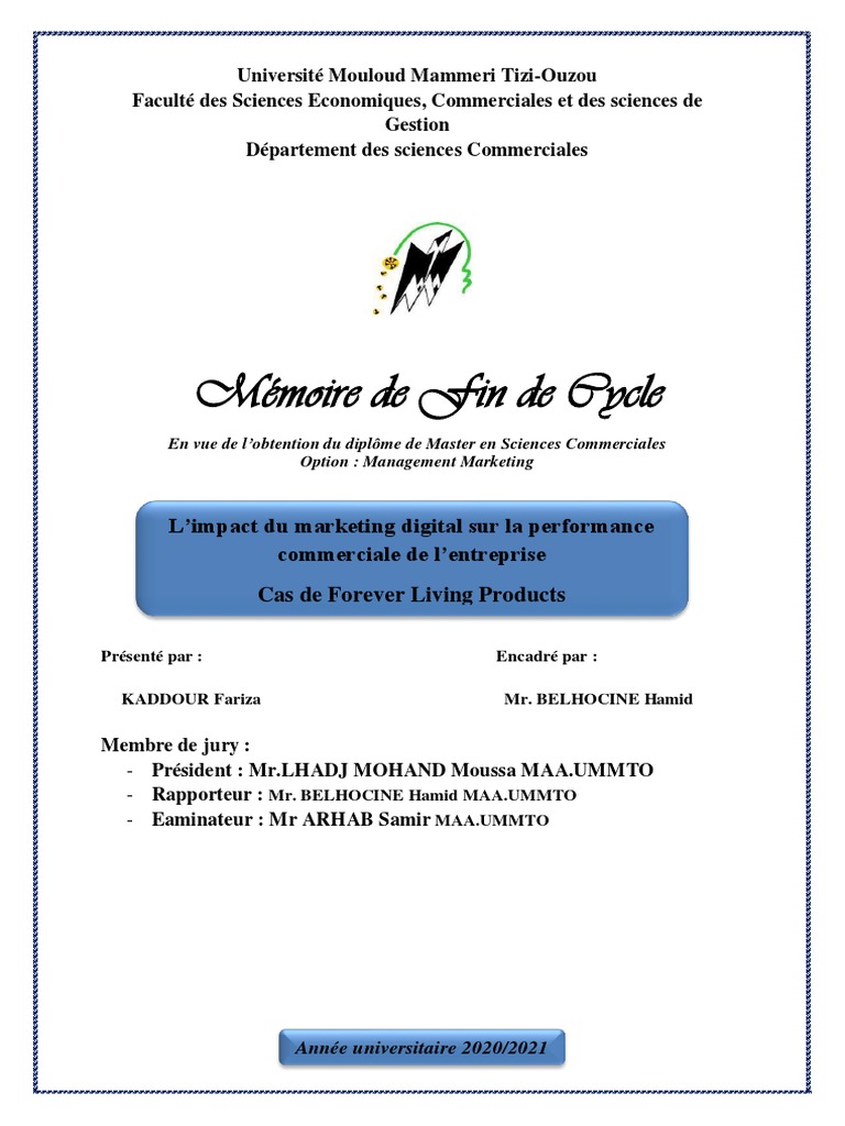 Memoire Final | PDF | Optimisation de moteur de recherche | Commercialisation