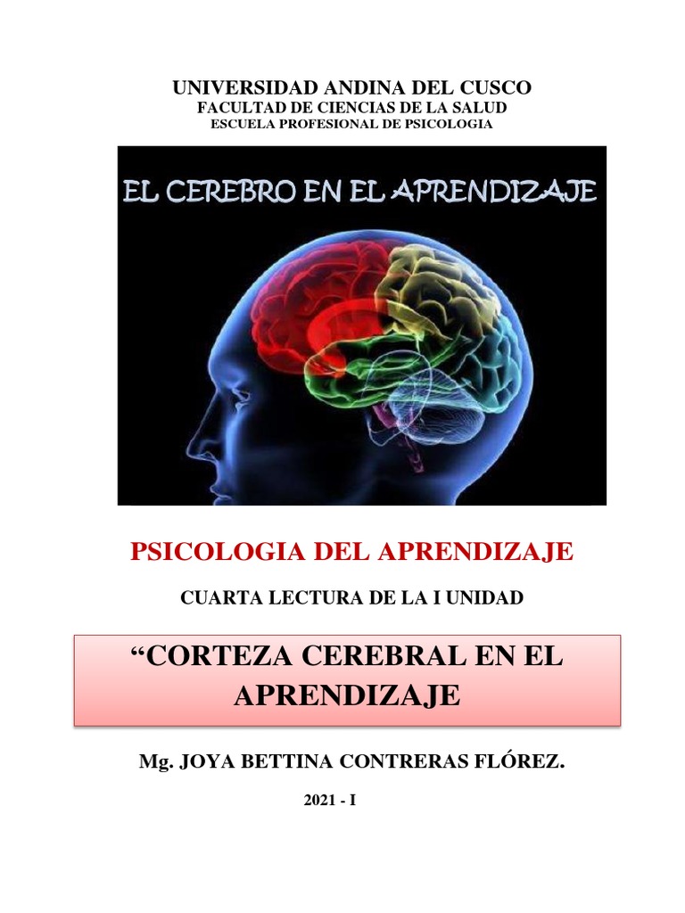 Cuarta Lectura - Corteza Cerebral en El Aprendizaje | PDF | Cerebro | Aprendizaje