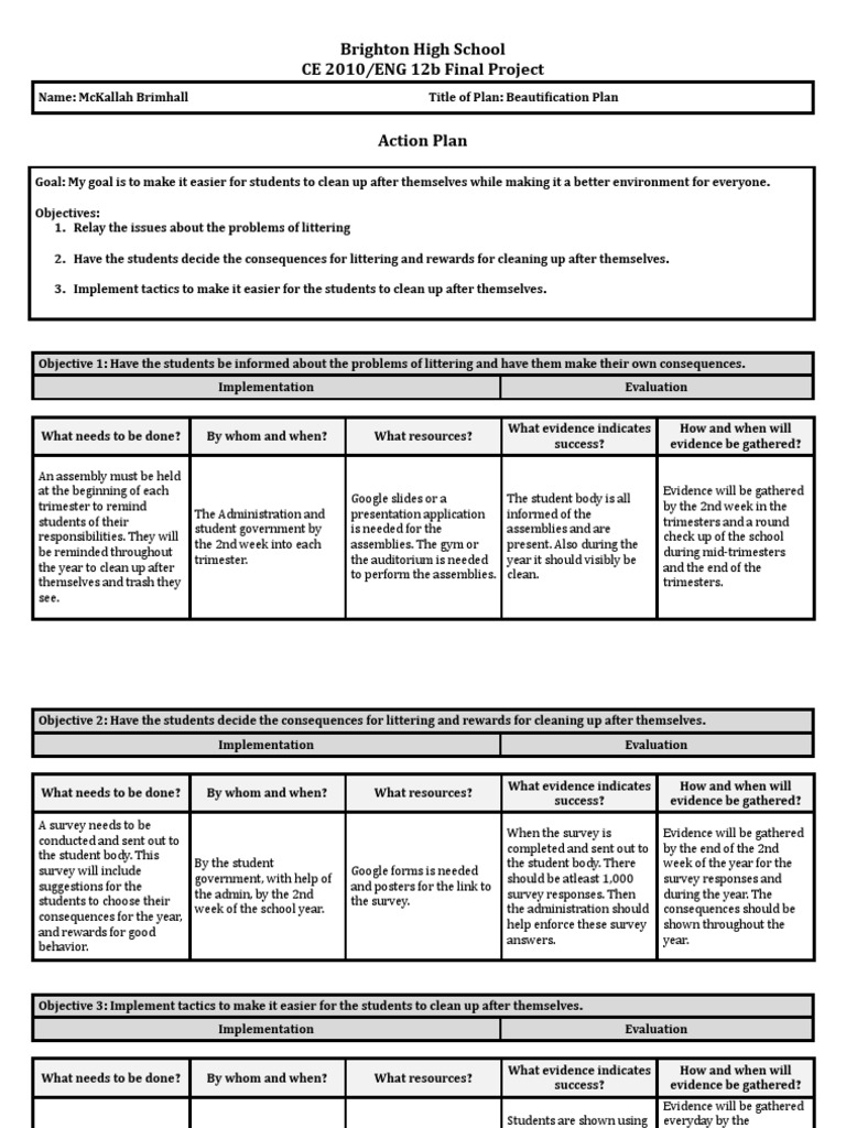 Action Plan Bhs | PDF | Cognition | Applied Psychology