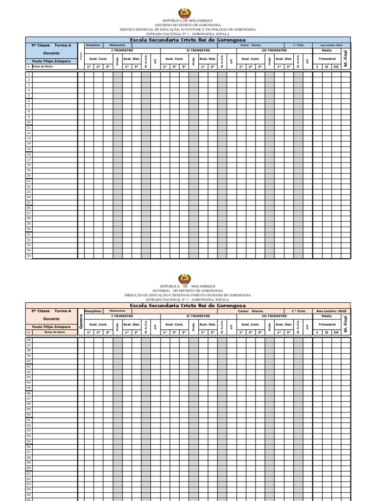 Pauta Modelo | PDF | Ensino médio