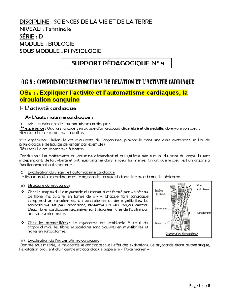 Anatomie et Automatisme Cardiaque | PDF | Cœur | Atrium (anatomie)