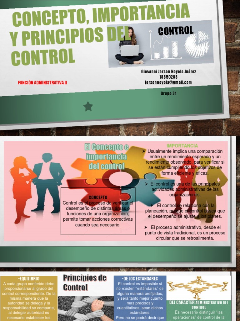 Concepto, Importancia y Principios Del Control | PDF | Planificación