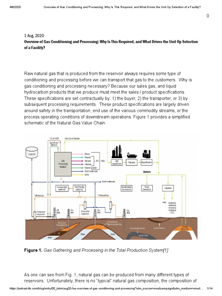 Overview of Gas Conditioning and Processing | PDF | Natural Gas ...