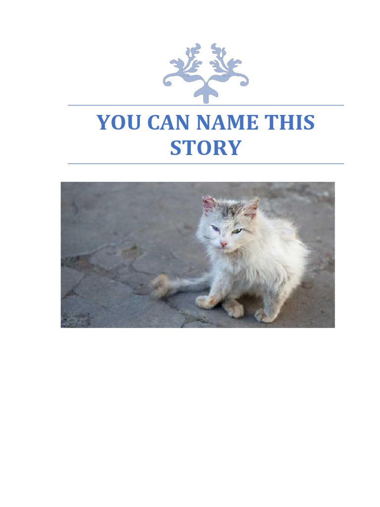 Bandit Cat and The Nomad 9621pdf | PDF