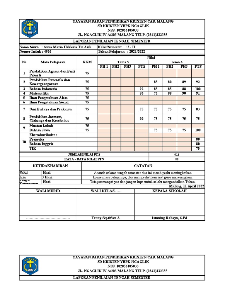 Format Raport Sisipan | PDF