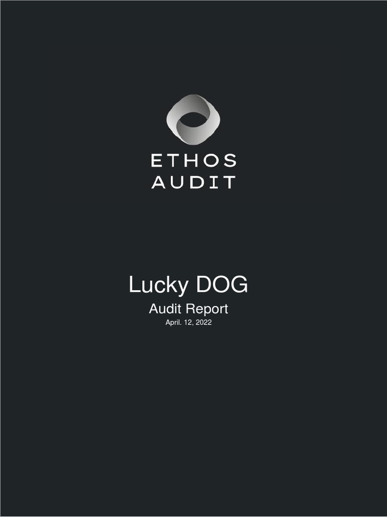 Lucky DOG: Audit Report | PDF | Variable (Computer Science) | Audit