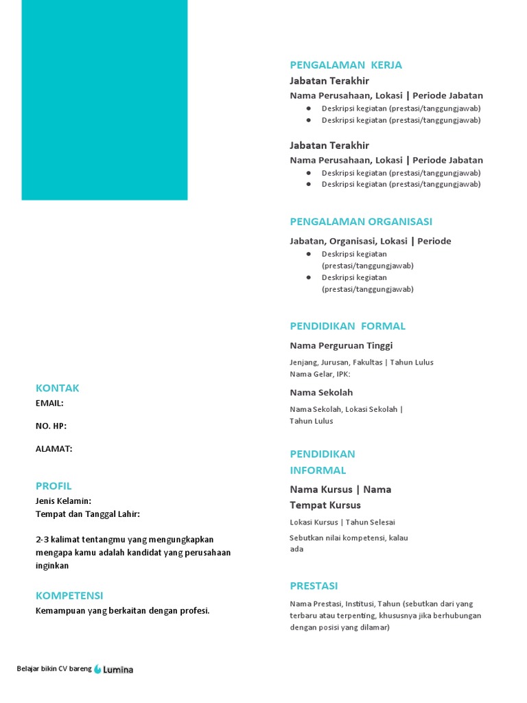 Template CV 02 - Lumina | PDF