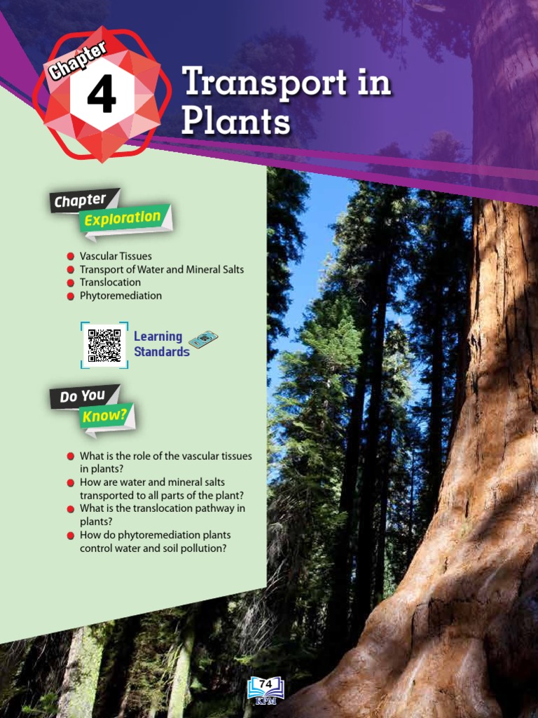 KSSM Form 5 Biology Textbook-84-105 | PDF | Plant Stem | Tissue (Biology)