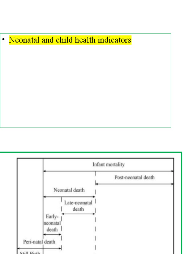 Neonatal and Child Health Indicators | PDF