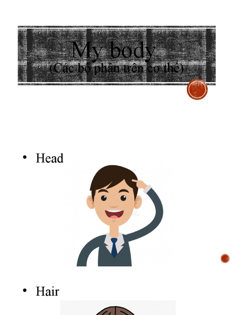 My Body | PDF