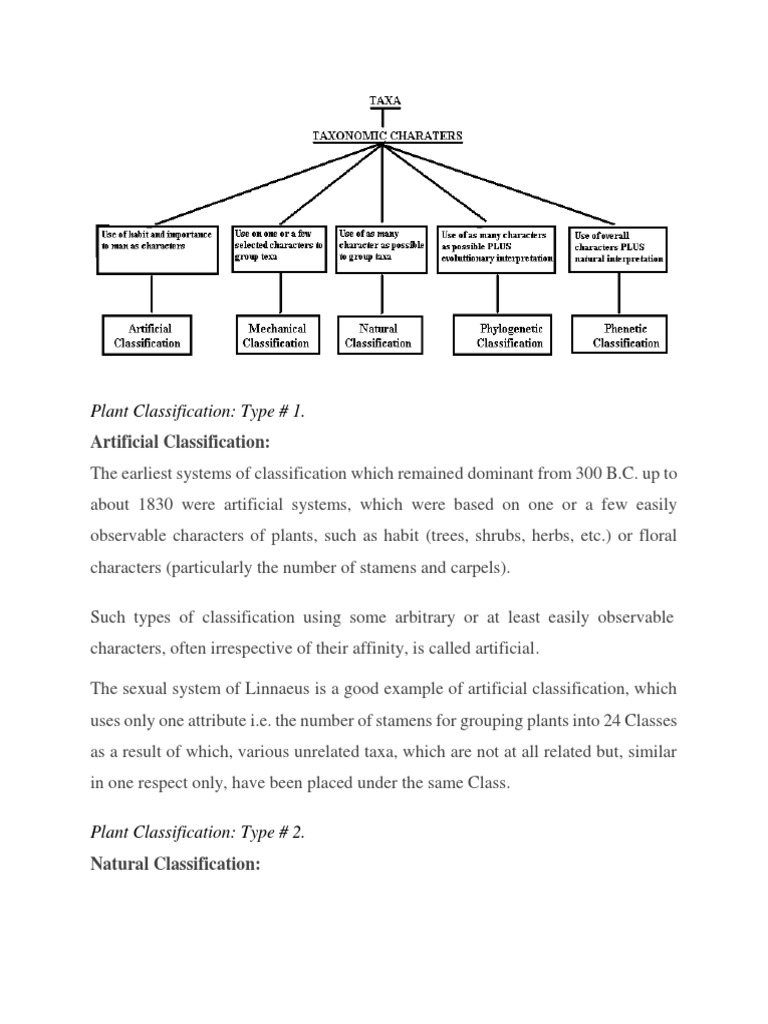 Artificial vs Natural Plant Classification Systems | PDF | Taxonomy ...