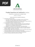 Manual de Amadeus Críptico | PDF | aerolíneas | Aviación