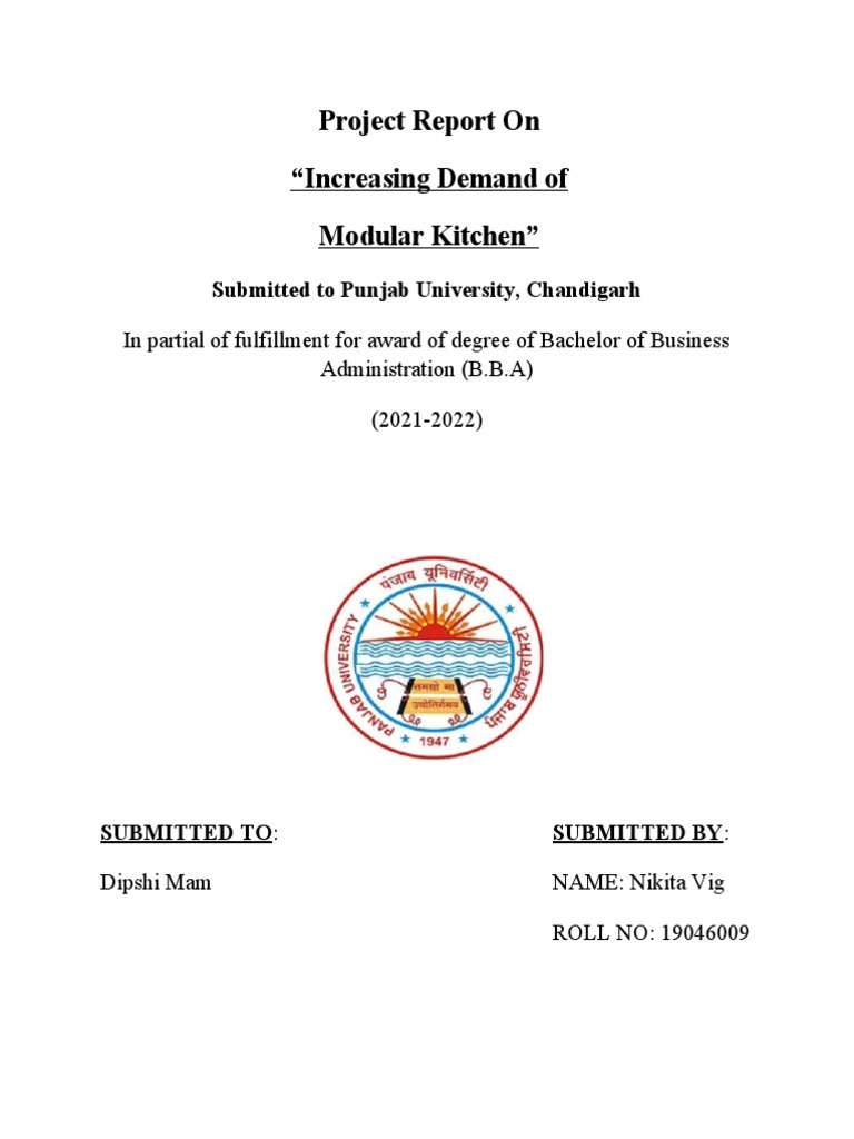 Project Report On Increasing Demand of Modular Kitchen | PDF | Kitchen ...