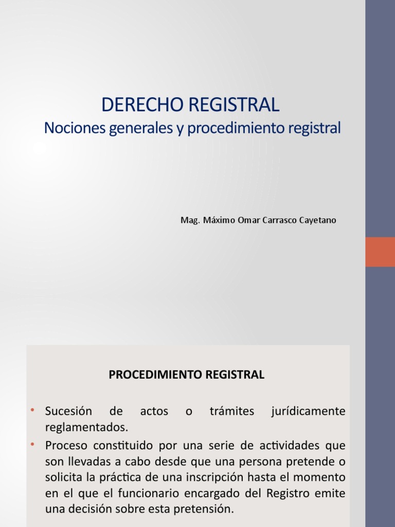 Procedimiento Registral | PDF | Gobierno | Justicia