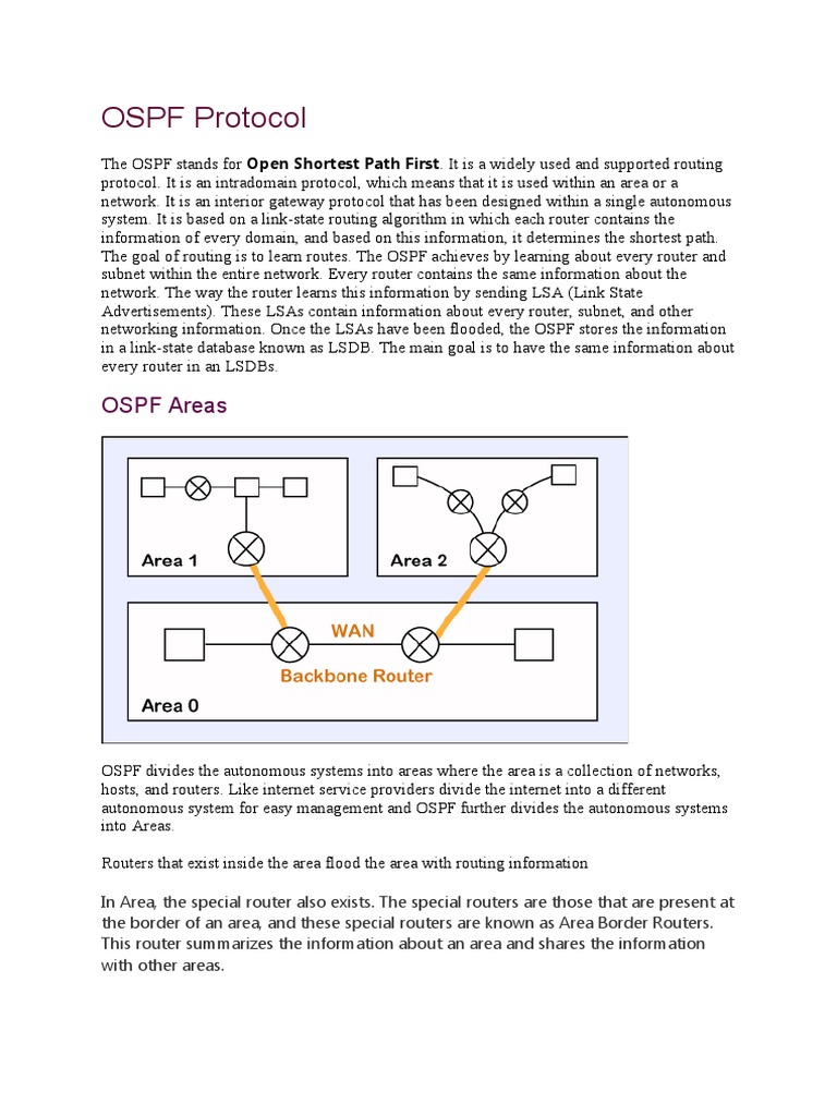 OSPF Protocol CN | PDF | Router (Computing) | Routing