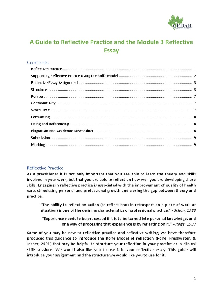 Module 3 Reflective Essay Guidance | PDF | Reflective Practice | Cognition