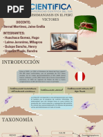Prueba de Montenegro en Leishmaniasis | PDF | Sistema inmune ...