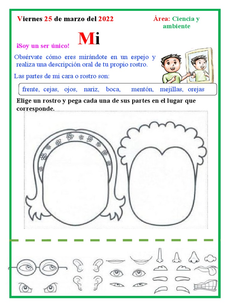 Partes de Mi Rostro | PDF