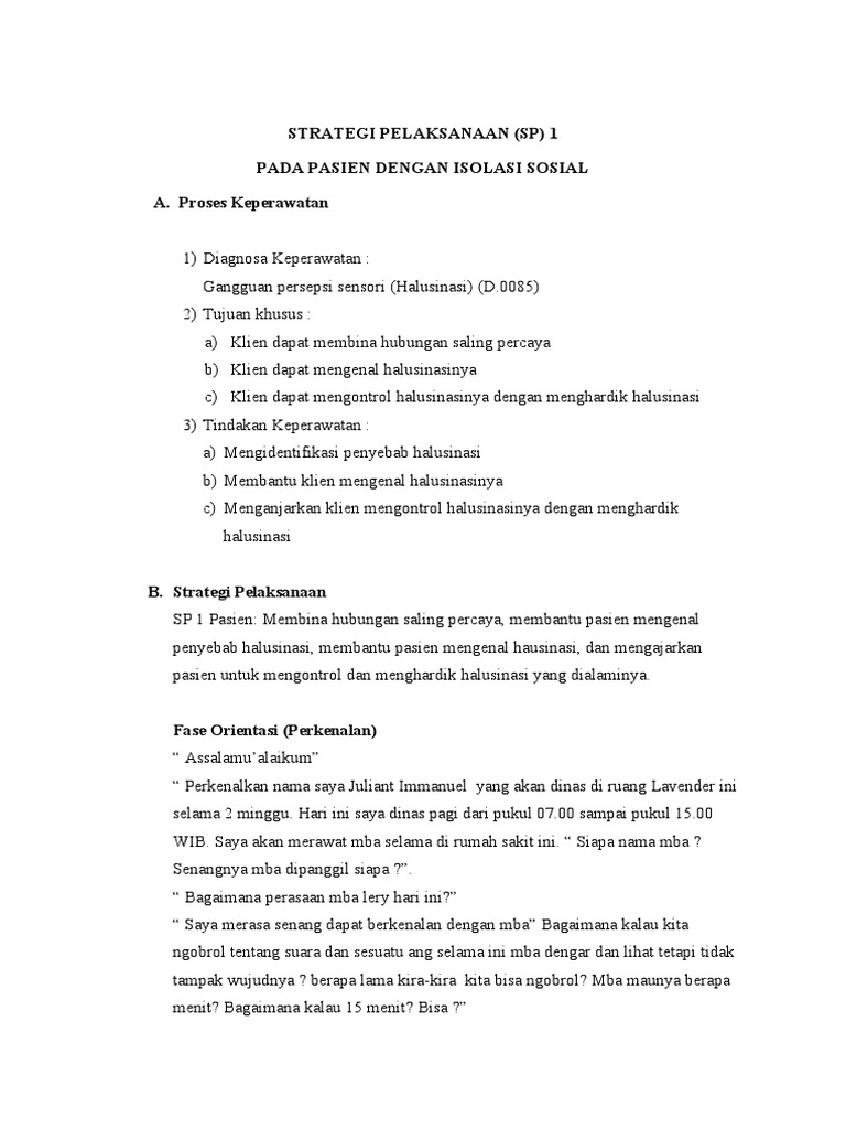 Strategi Pelaksanaan (SP) 1 Halusinasi | PDF