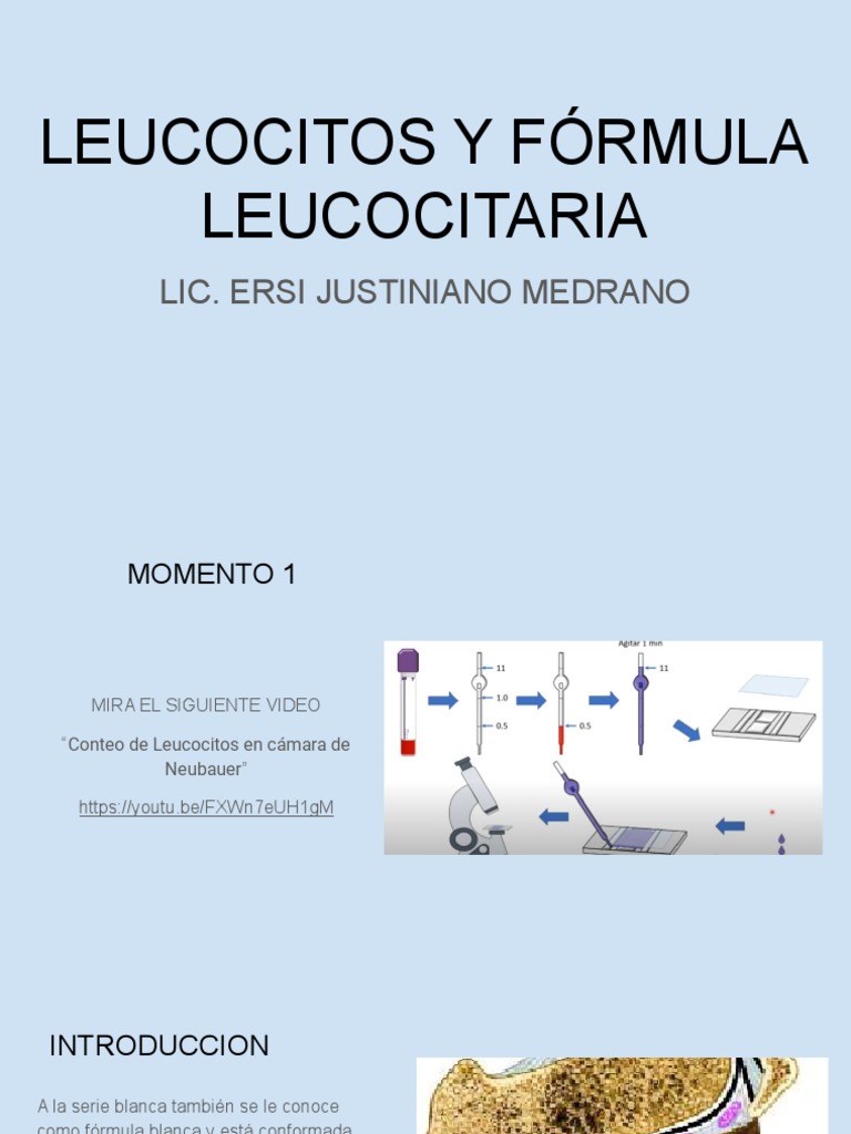 Leucocitos y Formula Leucocitaria | PDF | Leucocito | Sangre