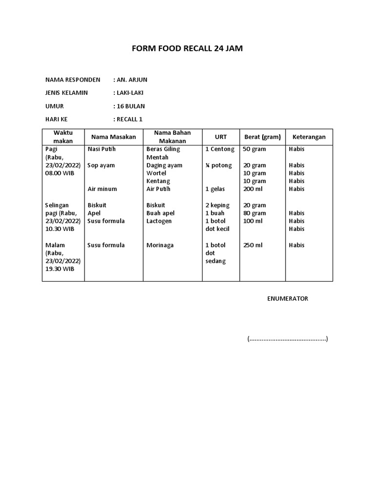 24-Hour Food Recall for 16-Month-Old | PDF