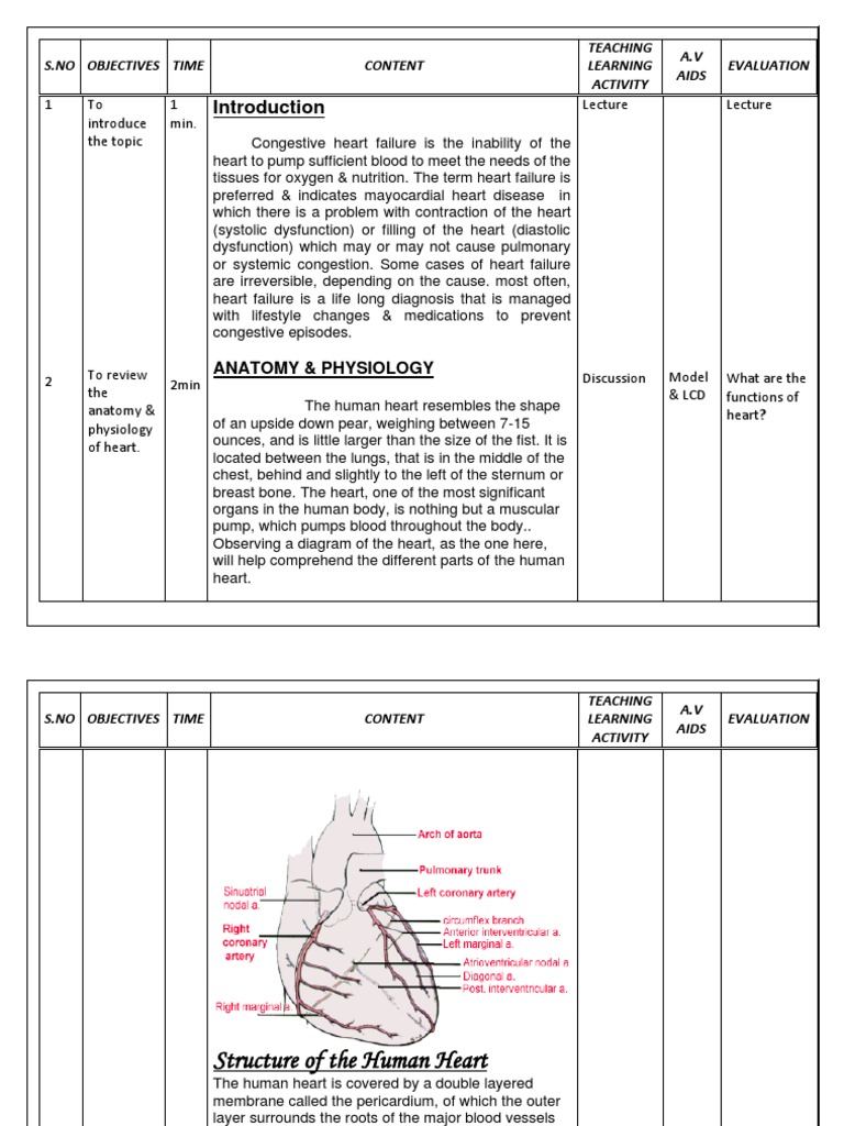 CCF Lesson Plan1 | Download Free PDF | Heart | Artery