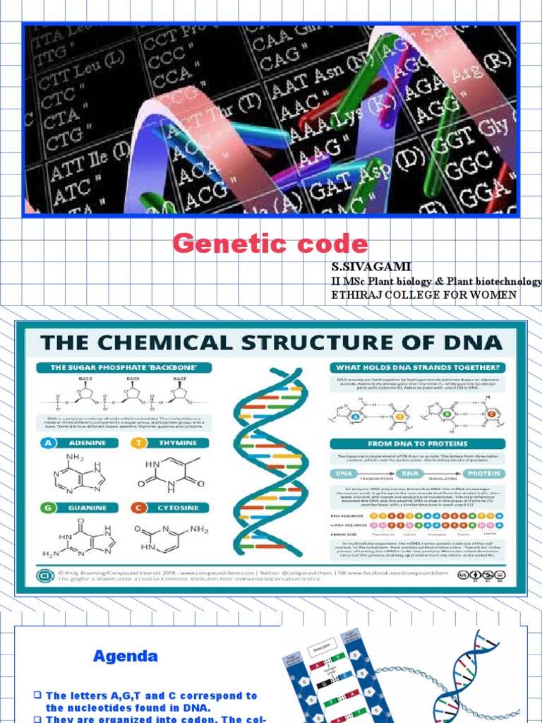 Genetic Code | PDF | Genetic Code | Translation (Biology)