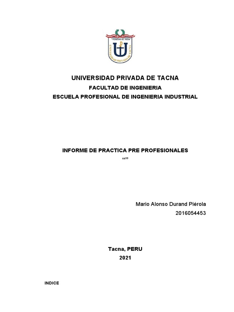 Caratula Informe de Practica Pre Profesional | PDF | Business | Economias