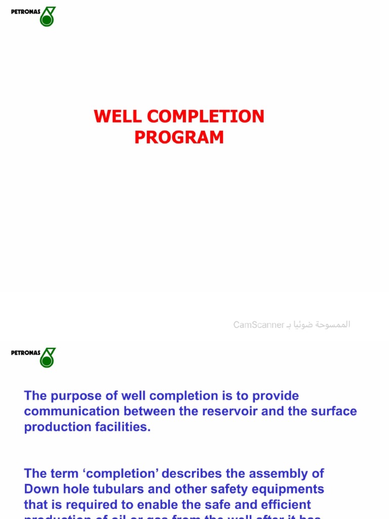 Well Completion PETRONAS | PDF