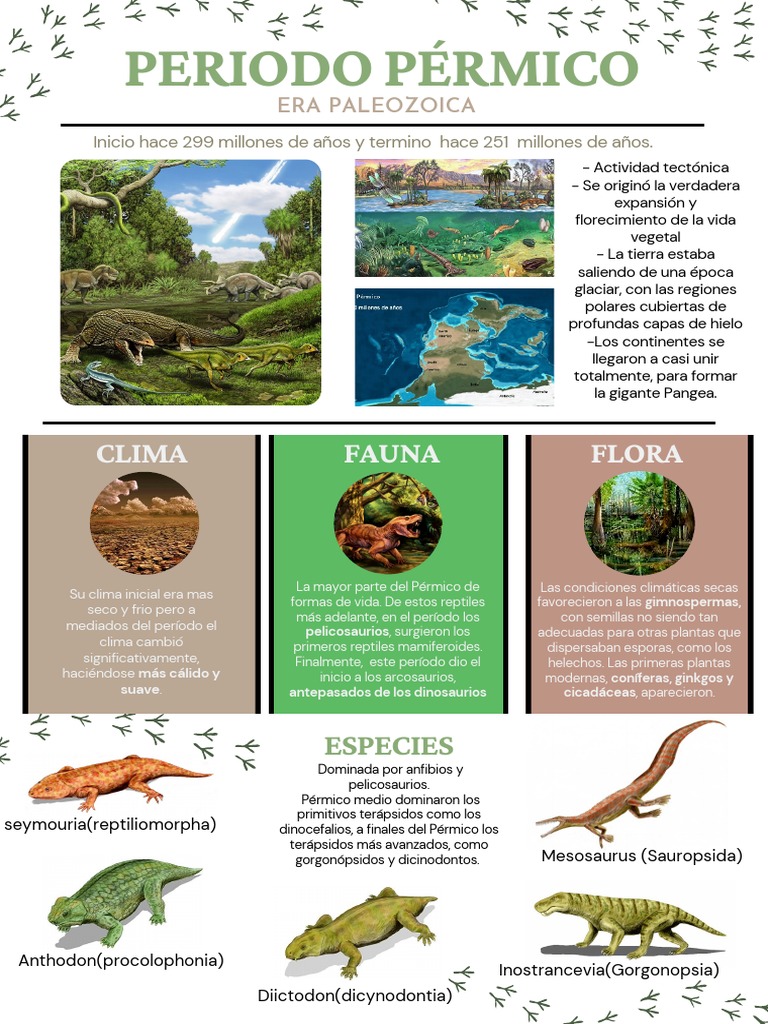 Periodo Permico | PDF | Ciencias de la Tierra | Naturaleza