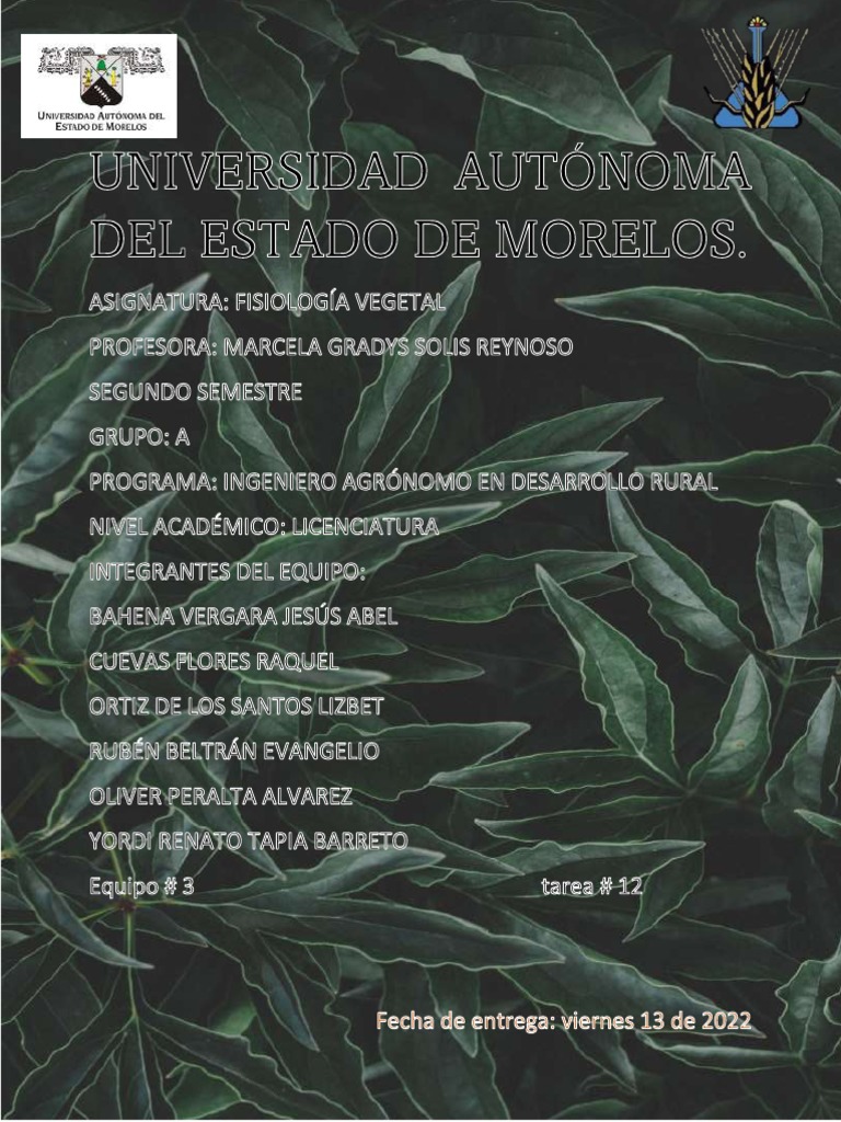 Quiescencia, Latencia y Longevidad | PDF | Germinación | Semilla
