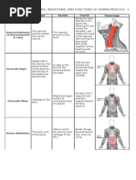 Goniometry Landmarks | PDF | Anatomical Terms Of Motion | Anatomical ...