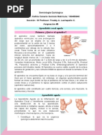 ESÒFAGO (Anatomía, Embriología, Histología y Fisiología) | PDF ...
