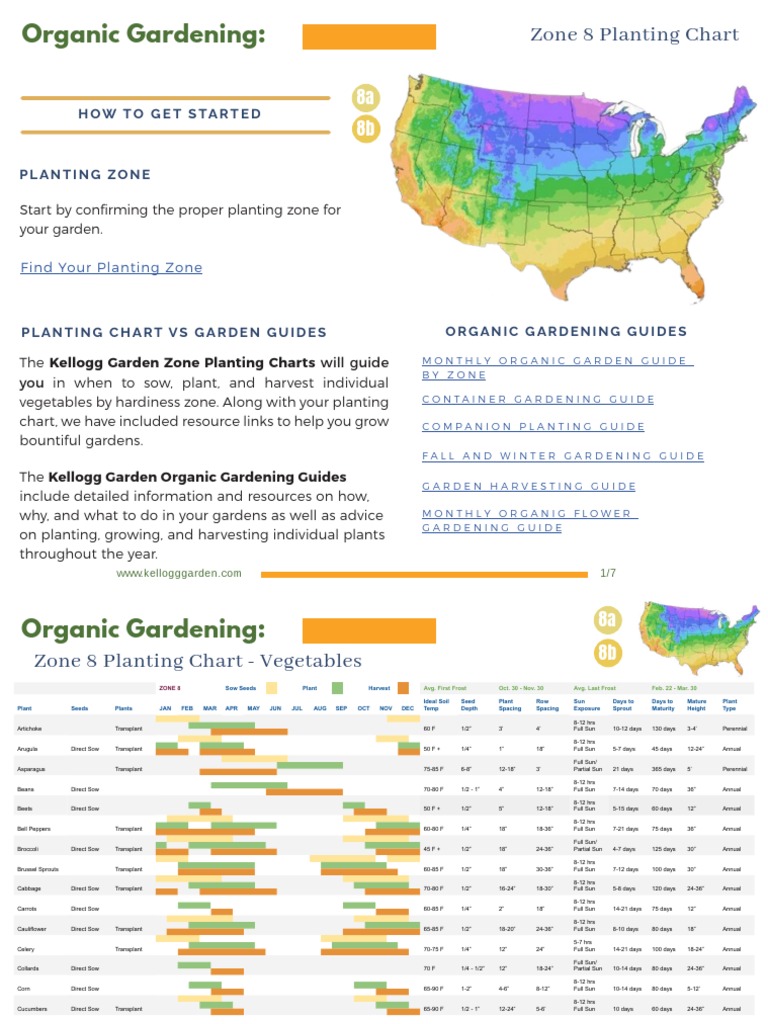 December Zone 8 Vegetable Planting Guide