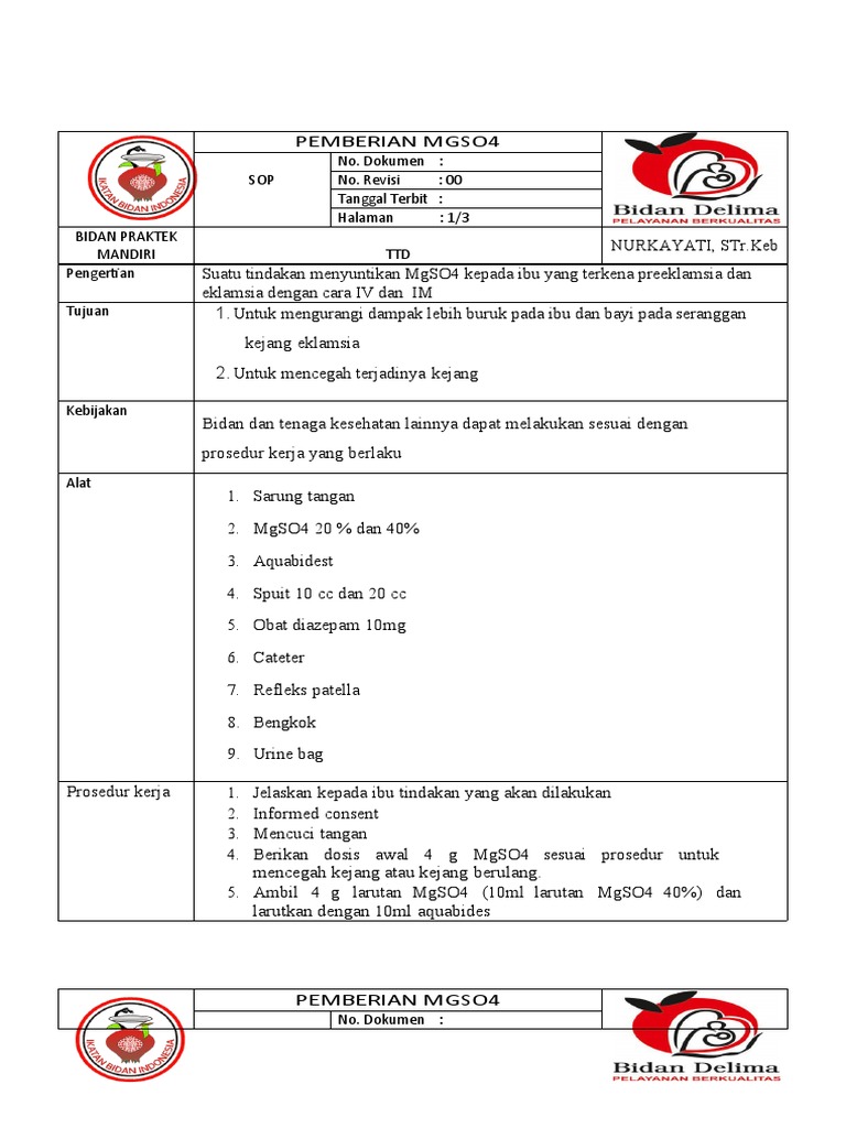 Pemberian Mgso4 | PDF