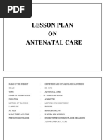 Antenatal Care Lesson Plan | PDF | Pregnancy | Childbirth