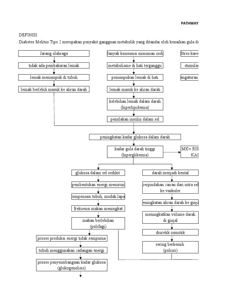 Pathway DM Tipe II | PDF