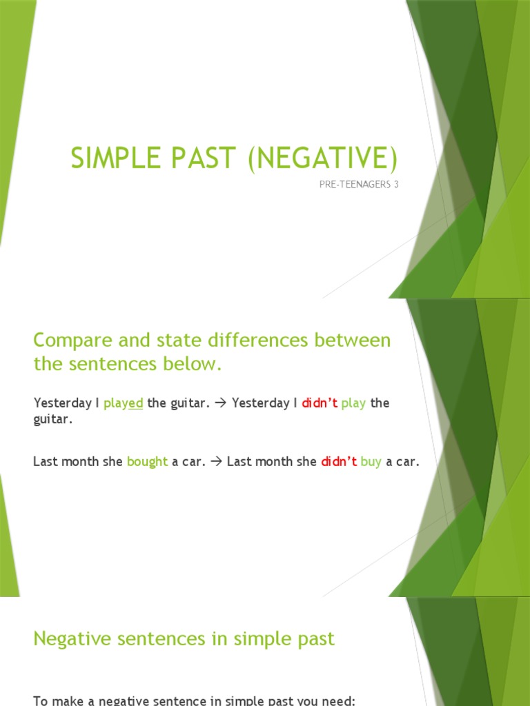 Simple Past (Negative) Explanation | PDF