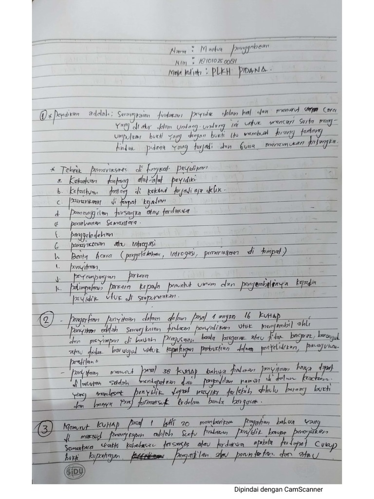 Uts PLKH Hukum Pidana Martua Panggabean | PDF