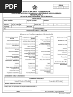 Planilla Registro de Defectos - Template | PDF